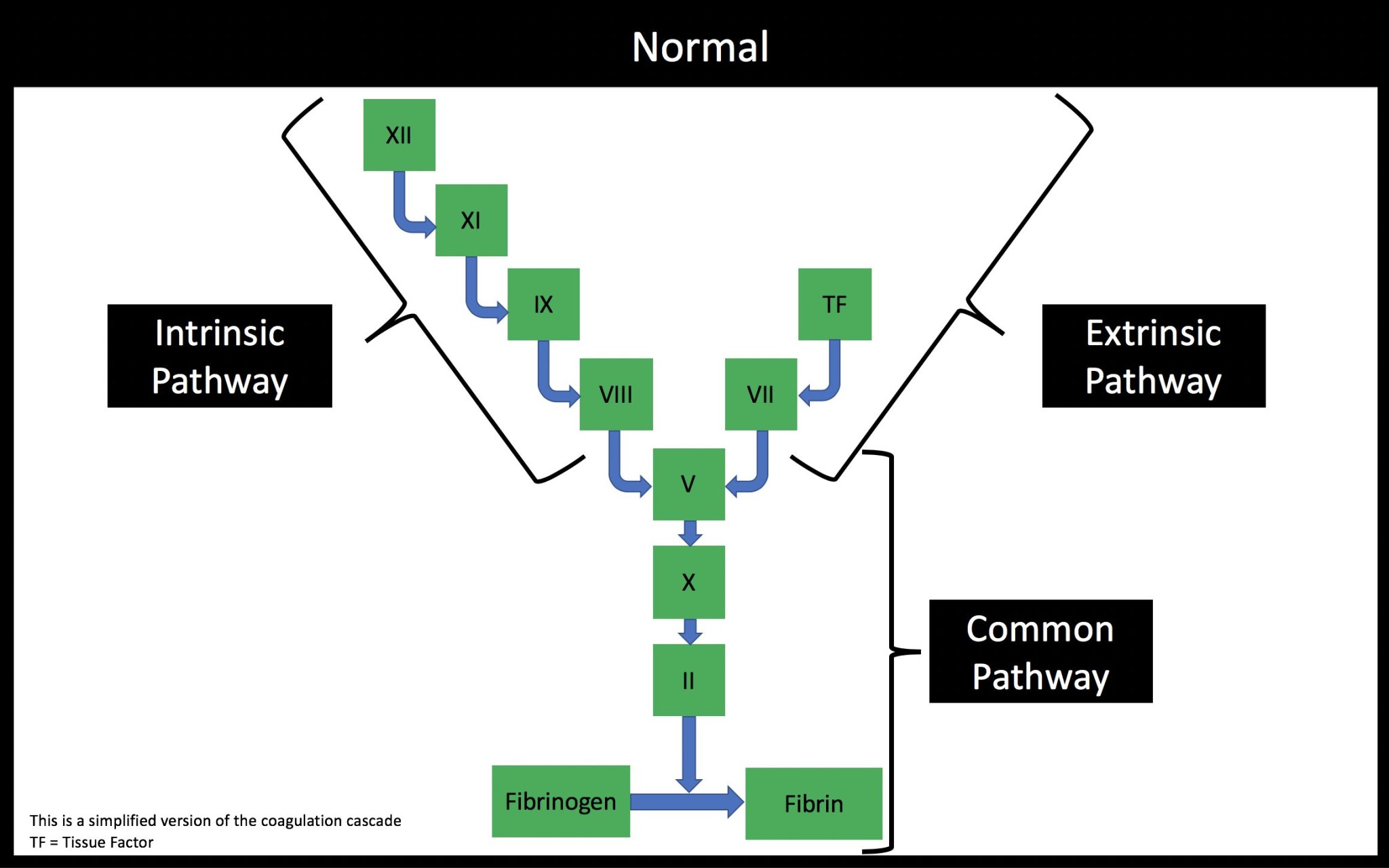 Episode 2: Why is cancer considered a hypercoagulable state? – The ...
