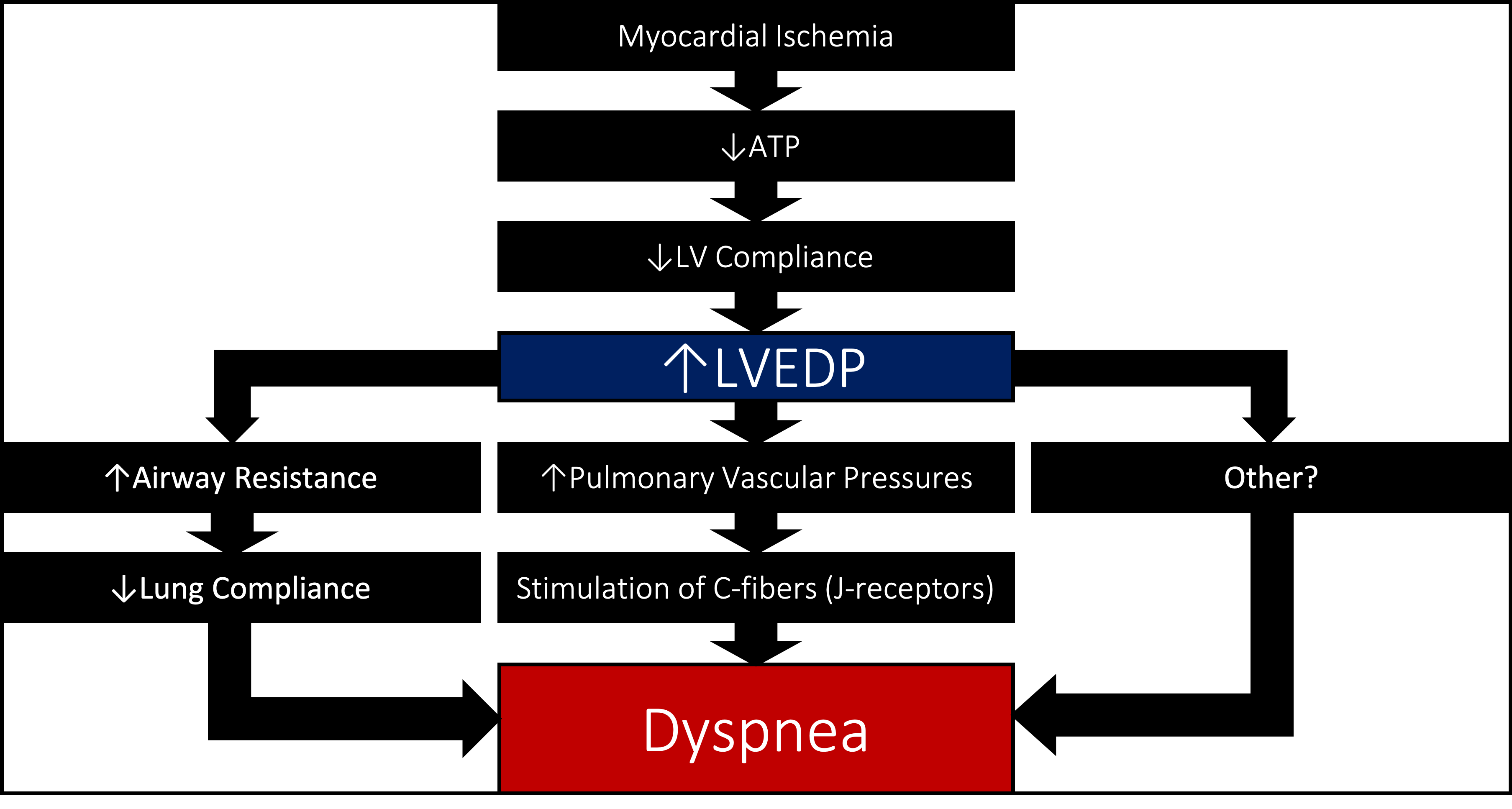Episode 8: Why is dyspnea an anginal equivalent? – The Curious Clinicians