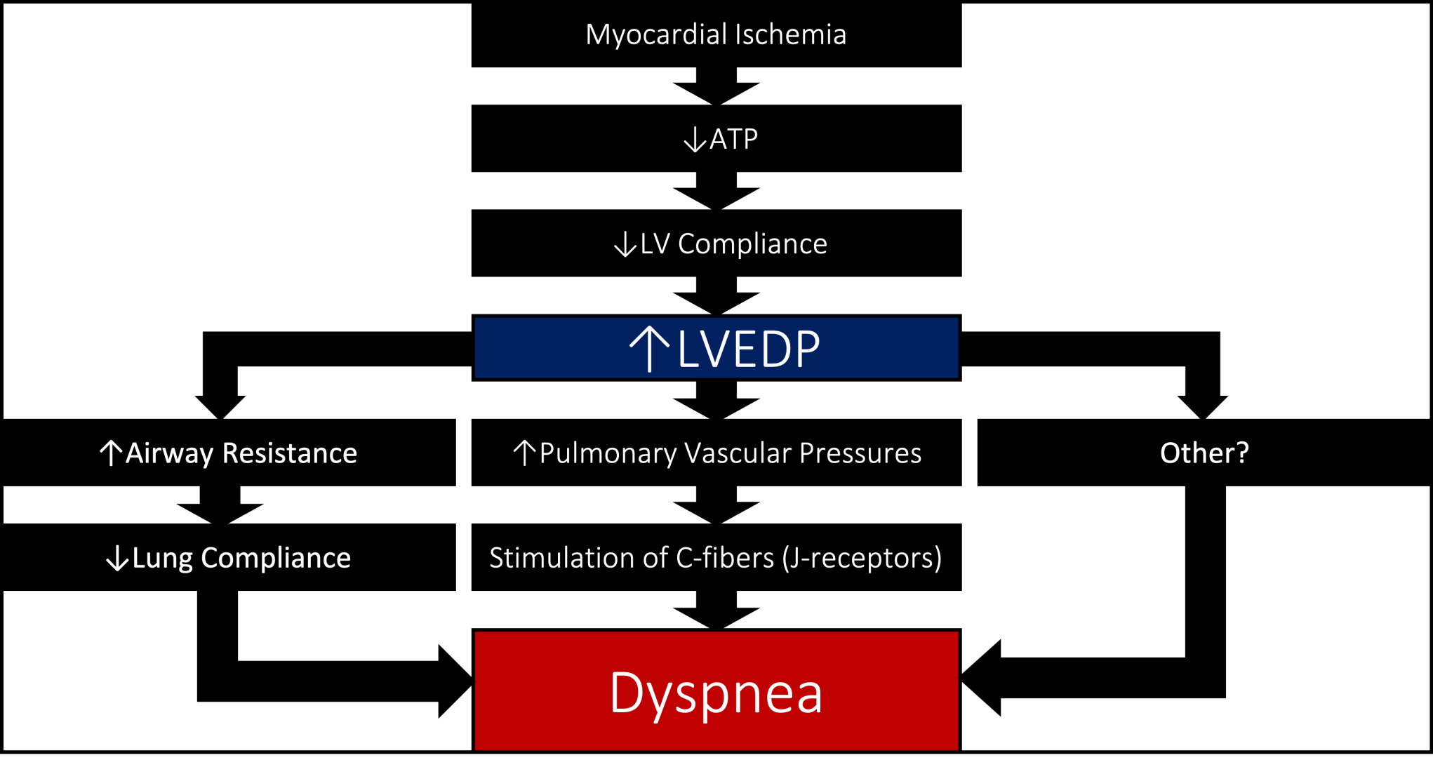 Episode 8: Why is dyspnea an anginal equivalent? – The Curious Clinicians