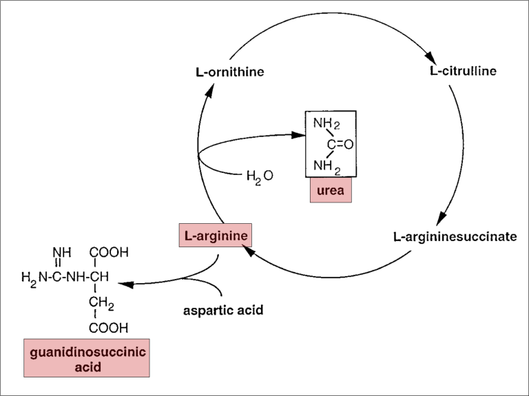 Episode 13: Why does uremia cause platelet dysfunction? – The Curious ...
