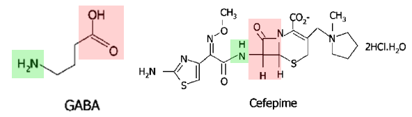 Episode 50 – Antibiotics on the brain – The Curious Clinicians